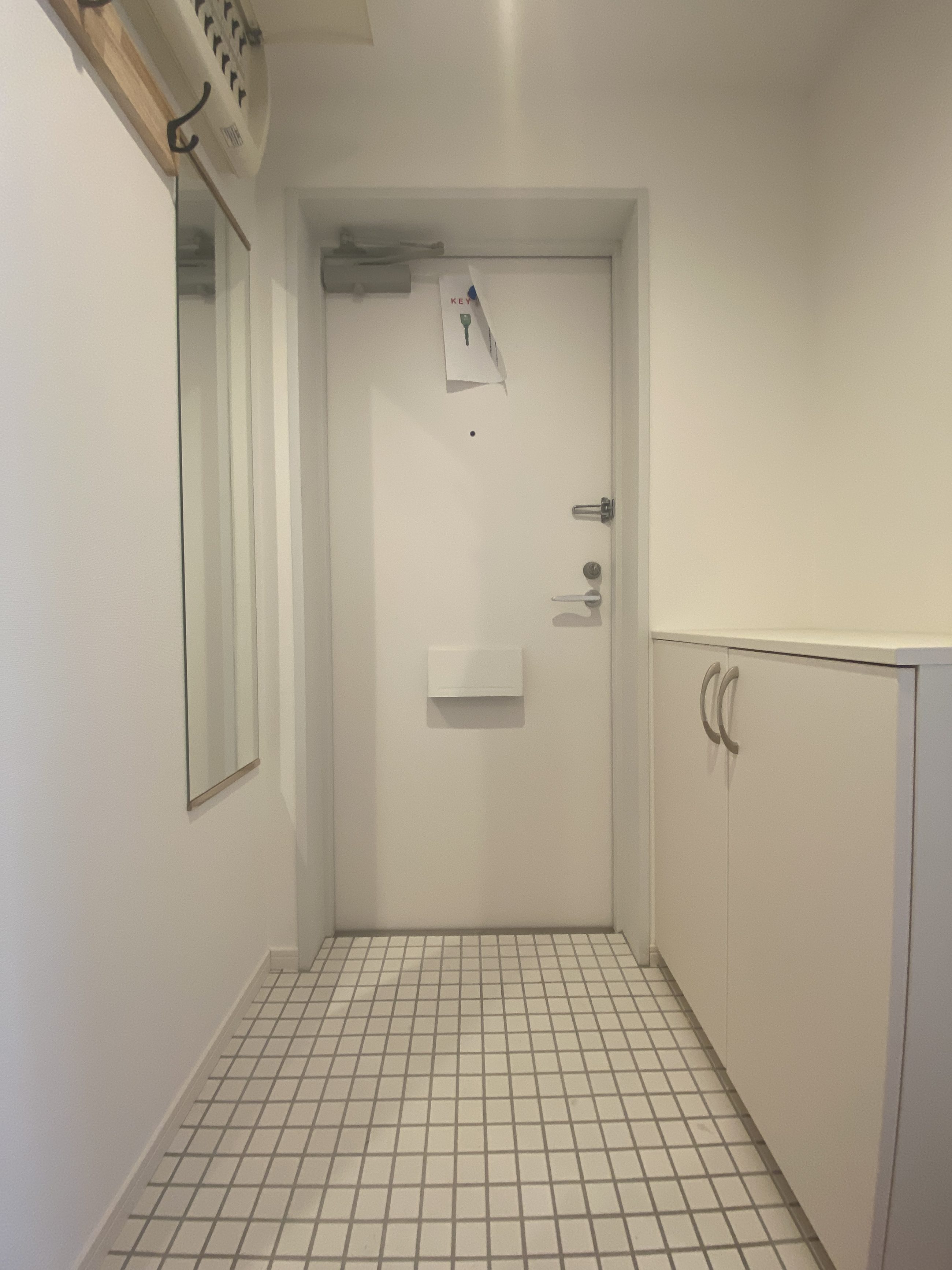 両国 築23年RC 55m2をシステムキッチン2LDKにフルリノベーション【墨田区 築23年 2LDK 賃貸 マンションリノベーション事例 eims エイムズ】 - eims (エイムズ)