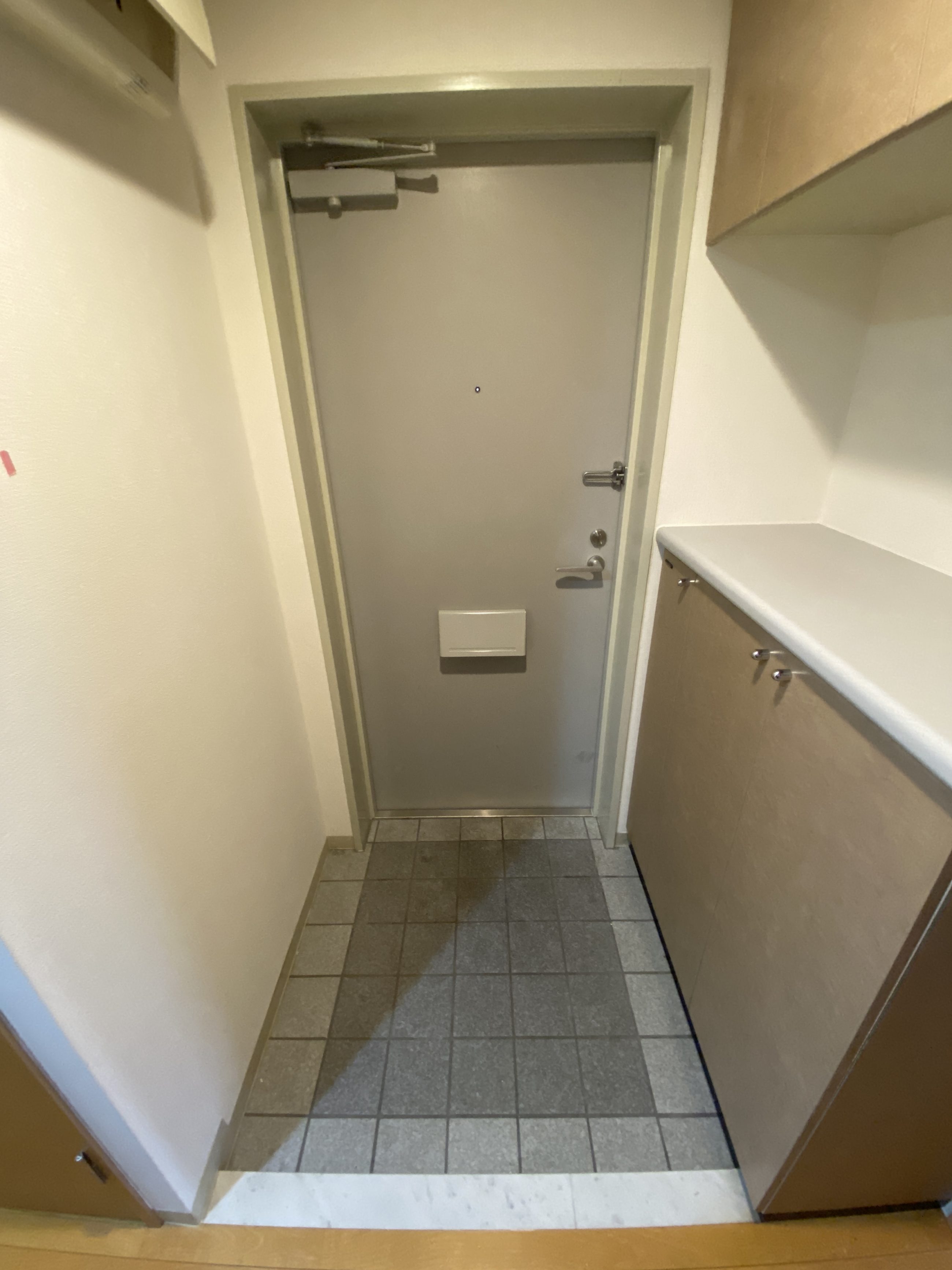 両国駅 築23年RCマンションをシステムキッチン2LDKにフルリノベーション【墨田区 築23年 マンションリノベーション事例】eims（エイムズ） - eims (エイムズ)