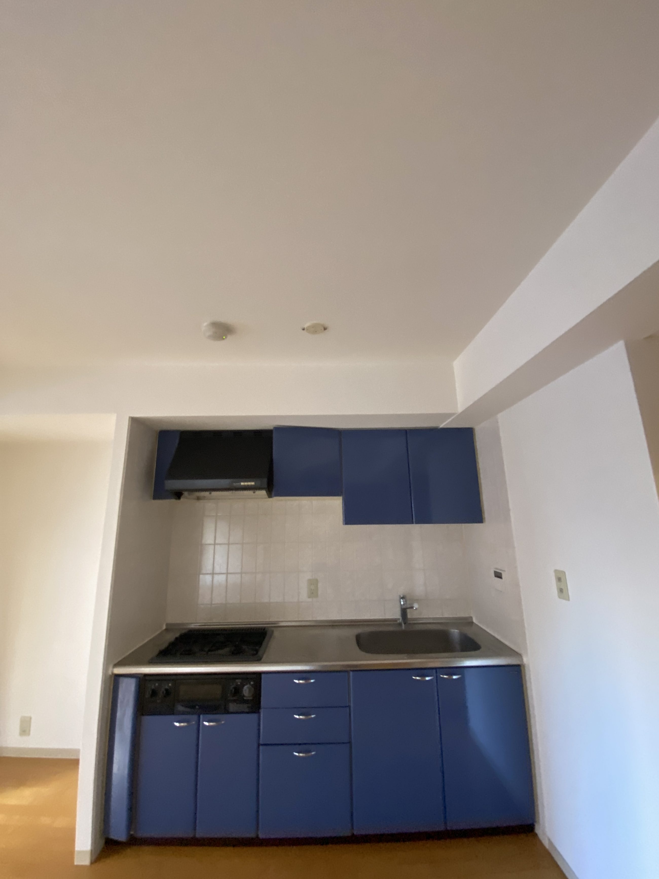 両国駅 築23年RCマンションをシステムキッチン2LDKにフルリノベーション【墨田区 築23年 マンションリノベーション事例】eims（エイムズ） - eims (エイムズ)